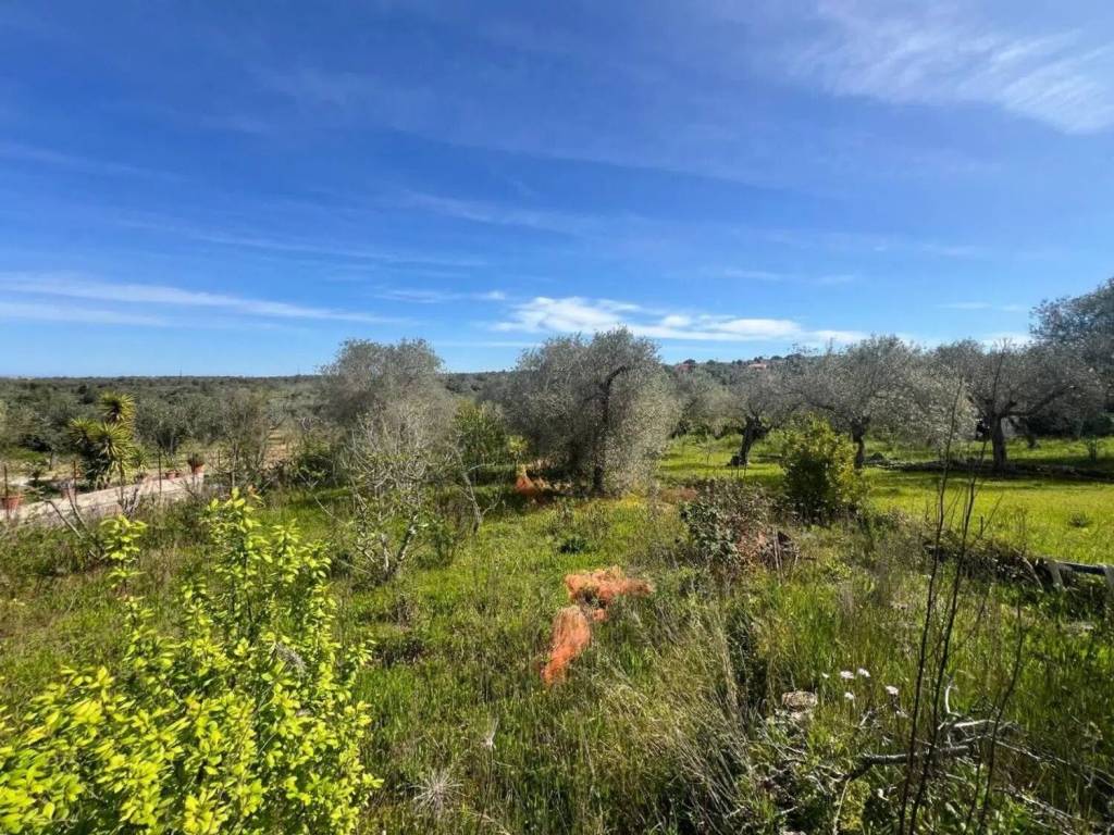 Terreno non edificabile Strada Vicinale Taniga-San Giacomo Medas 46 ...