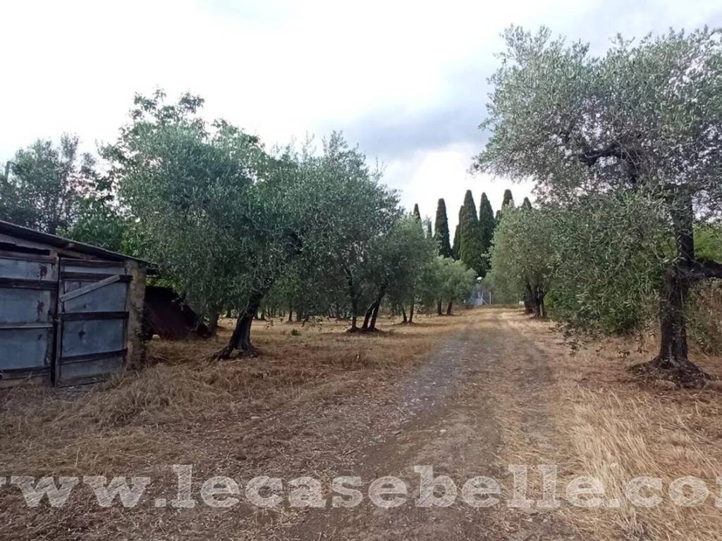 Vendita Rustico in via Roma, 21 Celleno. Da ristrutturare, 30 m², rif ...