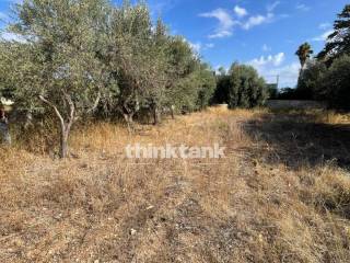 Terrains à vendre à Arenella, Ognina, Fontane Bianche - Siracusa ...