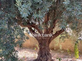 Terrains à vendre à Arenella, Ognina, Fontane Bianche - Siracusa ...
