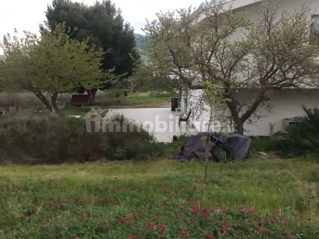 Affitto Villa bifamiliare in Contrada Casalotto Piana degli Albanesi ...