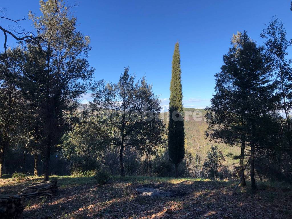 Terreno non edificabile Strada Provinciale Montevaso, Chianni, rif ...