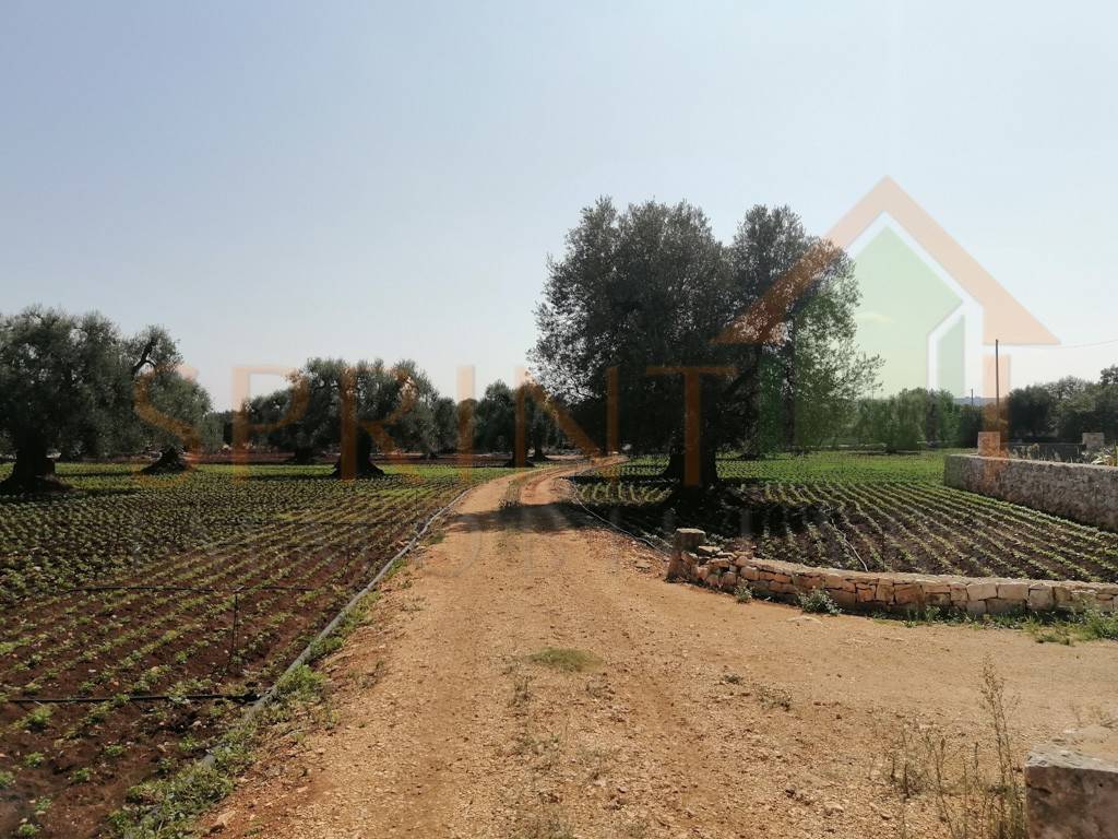 Building land Contrada San Vincenzo, Monopoli, ref. 121570930 ...