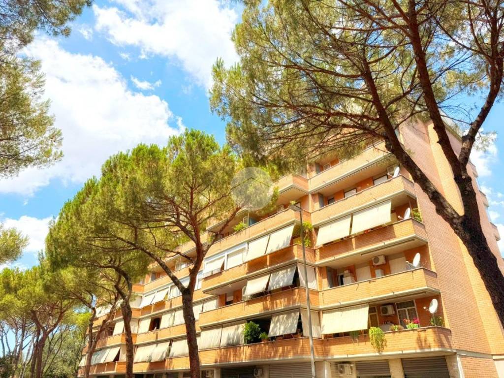 Vendita Appartamento Roma. Trilocale in via Pellaro 74. Buono stato ...