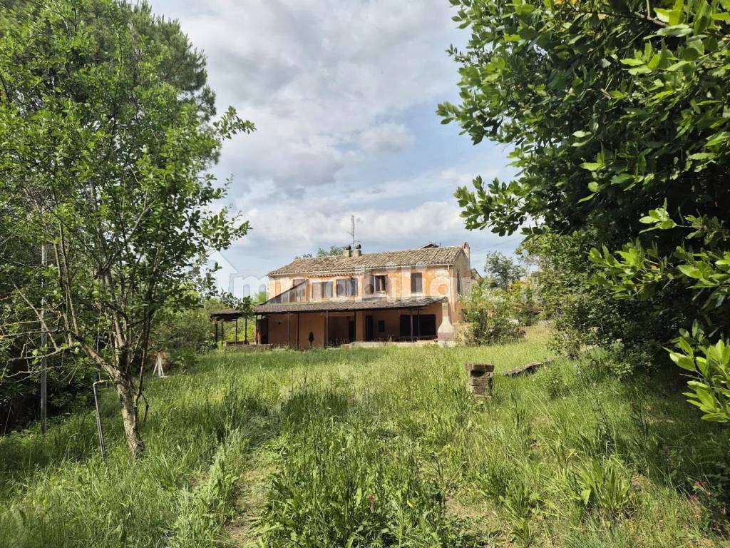 Vendita Cascina in frazione Gallignano No Number Ancona. 300 m², rif ...