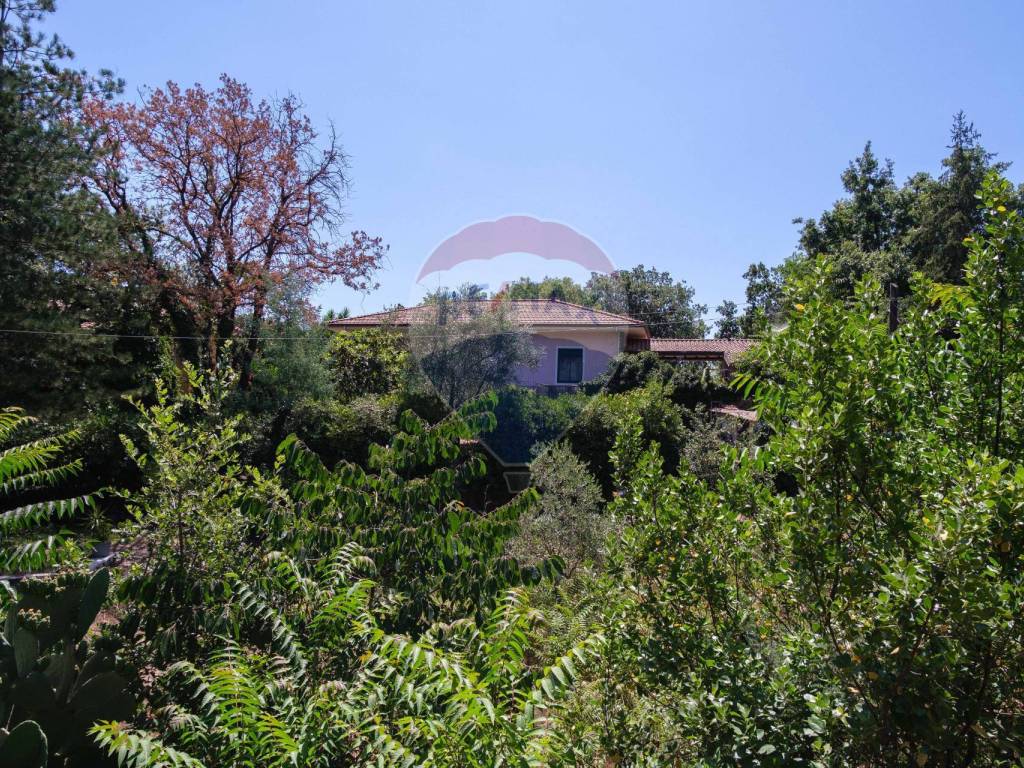 Vendita Villa unifamiliare in via Fossa Gelata Zafferana Etnea. Buono ...