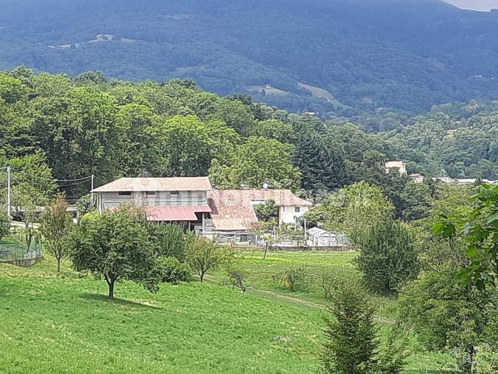 Vendita Cascina in via Strada Vecchia per Occhieppo Muzzano. Buono ...