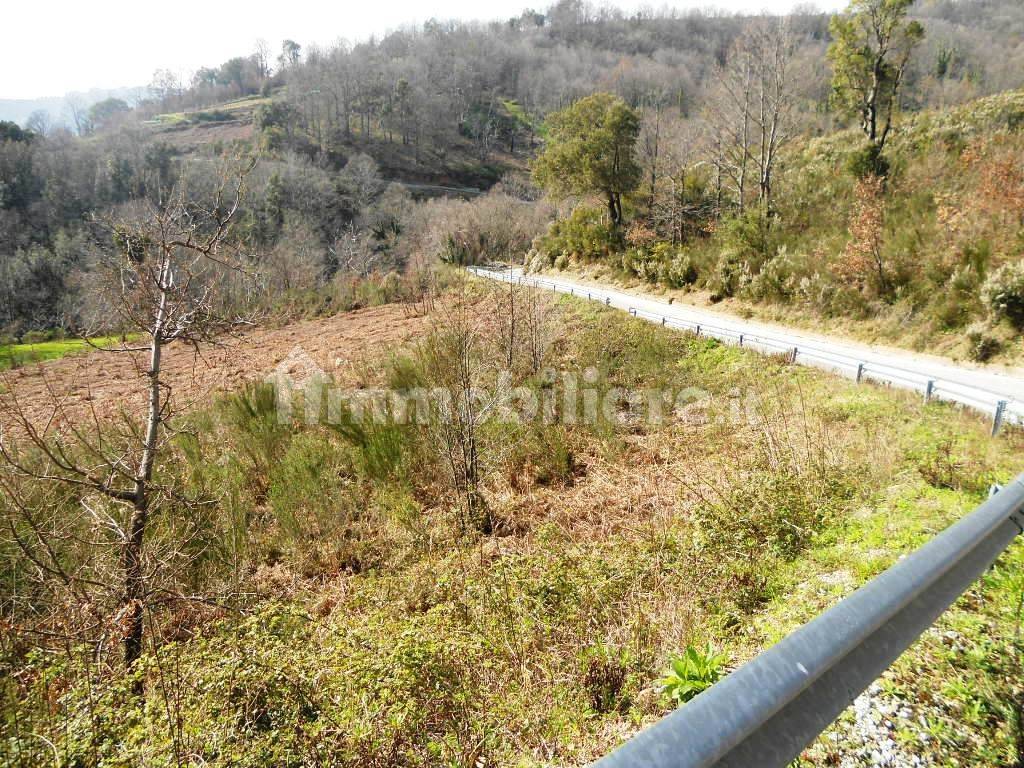 Agricultural land Strada Comunale Crozzanello-Santa Maria, Lamezia ...