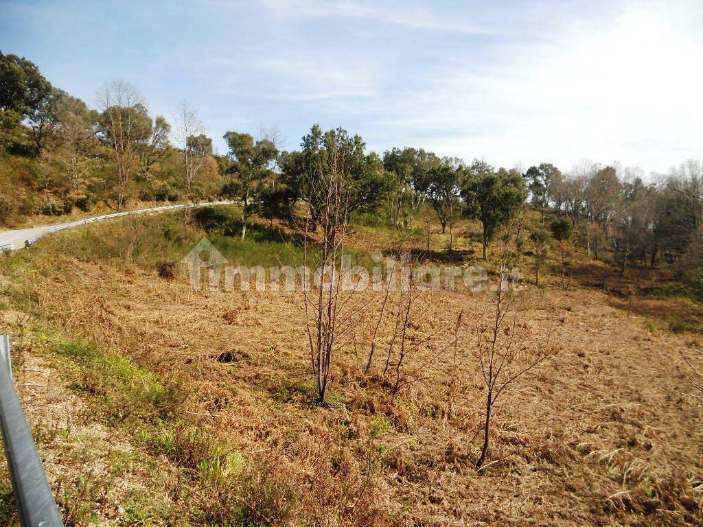 Agricultural land Strada Comunale Crozzanello-Santa Maria, Lamezia ...