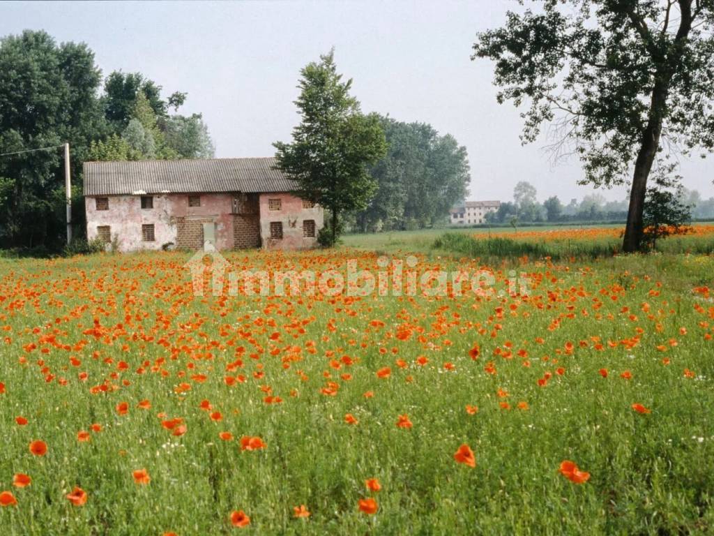 Vendita Rustico in via Carpane, 47 Loreggia. 500 m², rif. 123518539