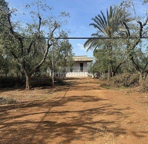 Vendita Rustico in Specchiolla Carovigno. Da ristrutturare, 55 m², rif ...