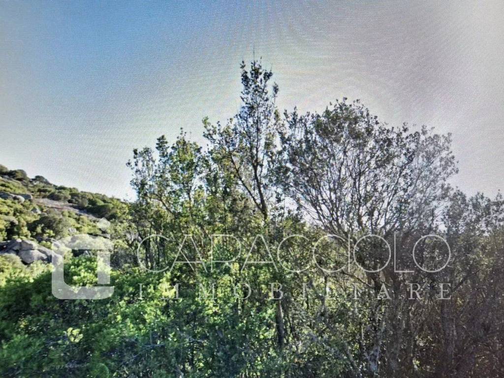 Terreno edificabile, Calangianus, rif. 123812987 - Immobiliare.it