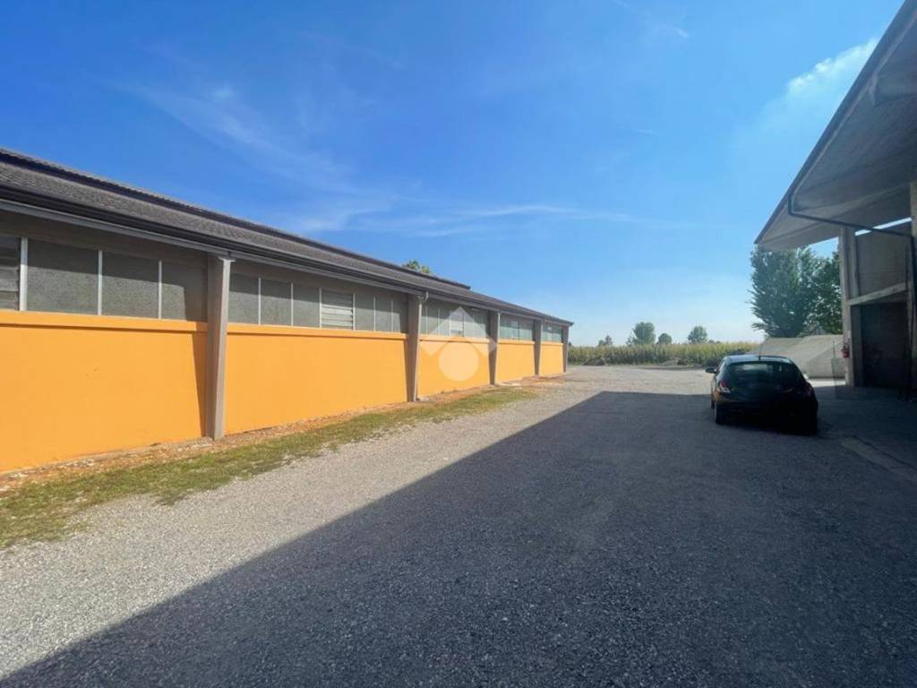Capannone via goito 61, Ghedi, Rif. 123875165 - Immobiliare.it