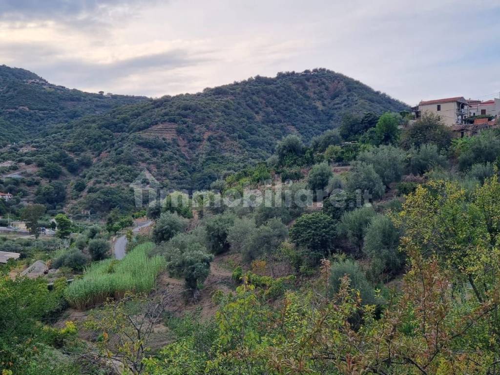Terreno agricolo Contrada San Nicolò Vecchio, Gioiosa Marea, rif ...