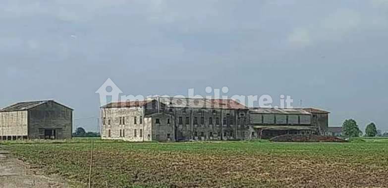 Asta per terreno agricolo, Localita' Ronchi, I Casotti Dei Ronchi ...