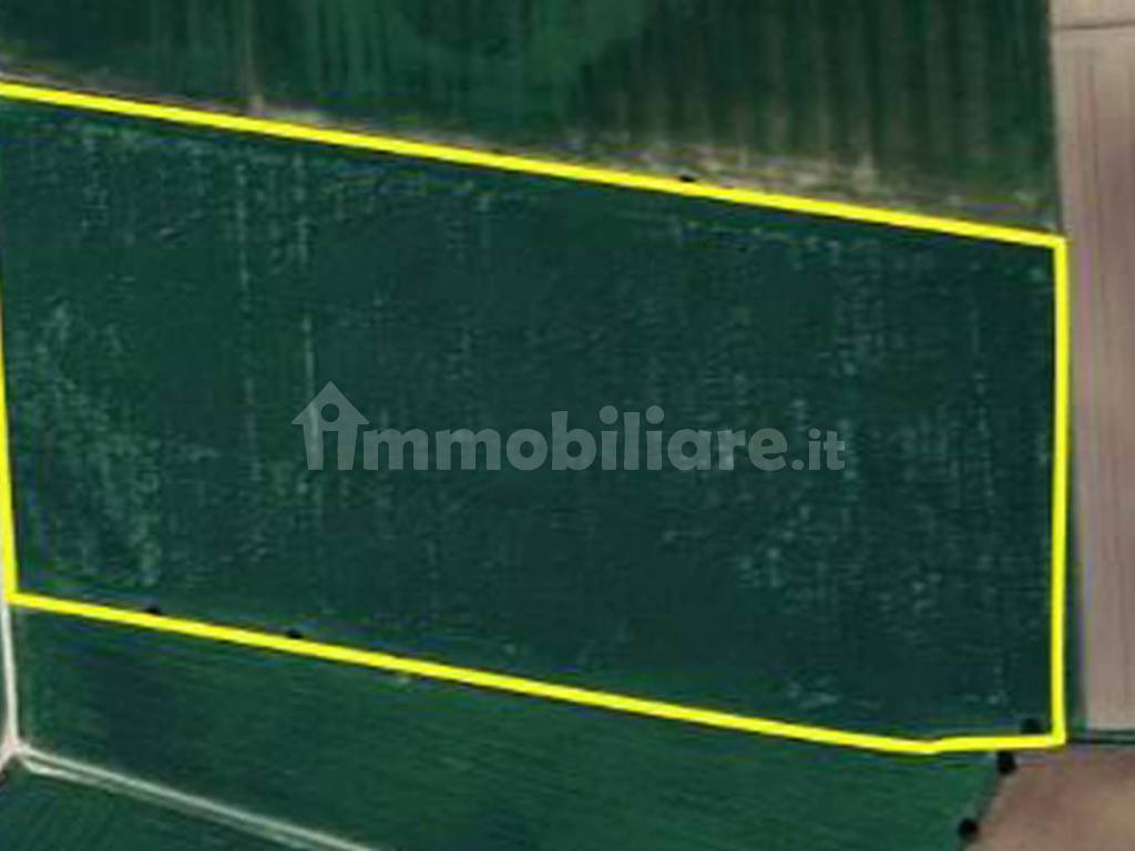 Asta per terreno agricolo, via dei Ronchi, I Casotti Dei Ronchi ...