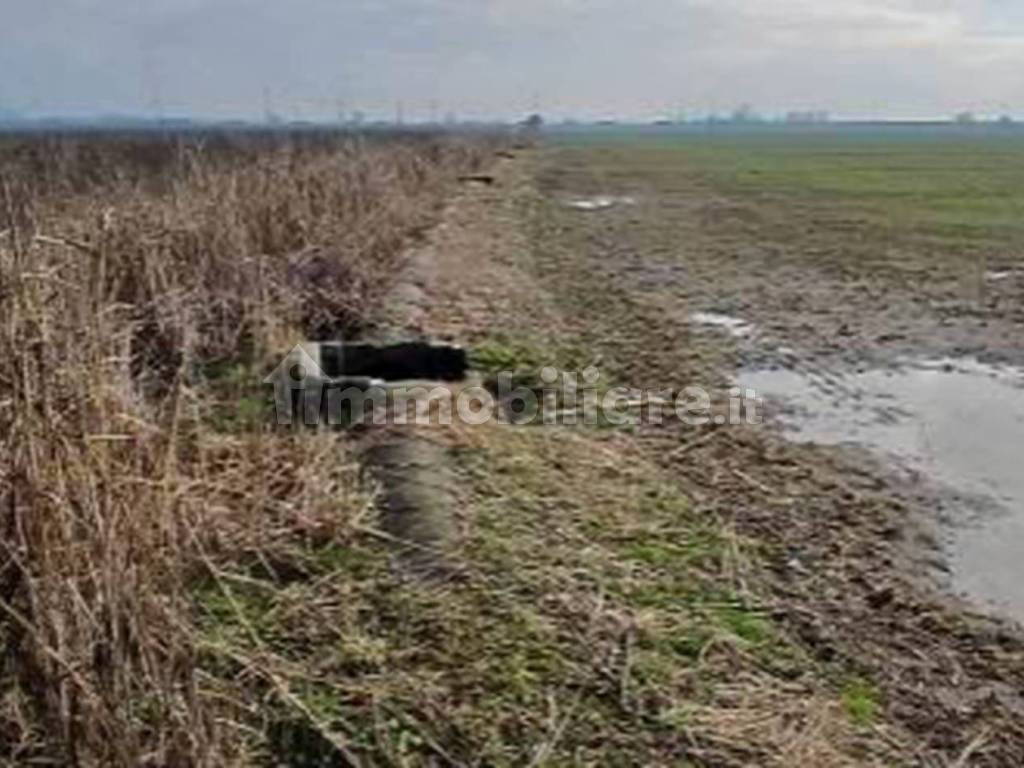 Asta per terreno agricolo, via dei Ronchi, I Casotti Dei Ronchi ...