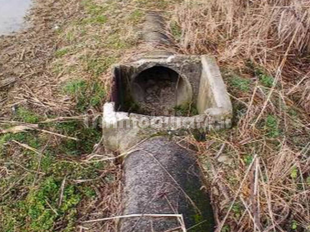 Asta per terreno agricolo, via dei Ronchi, I Casotti Dei Ronchi ...