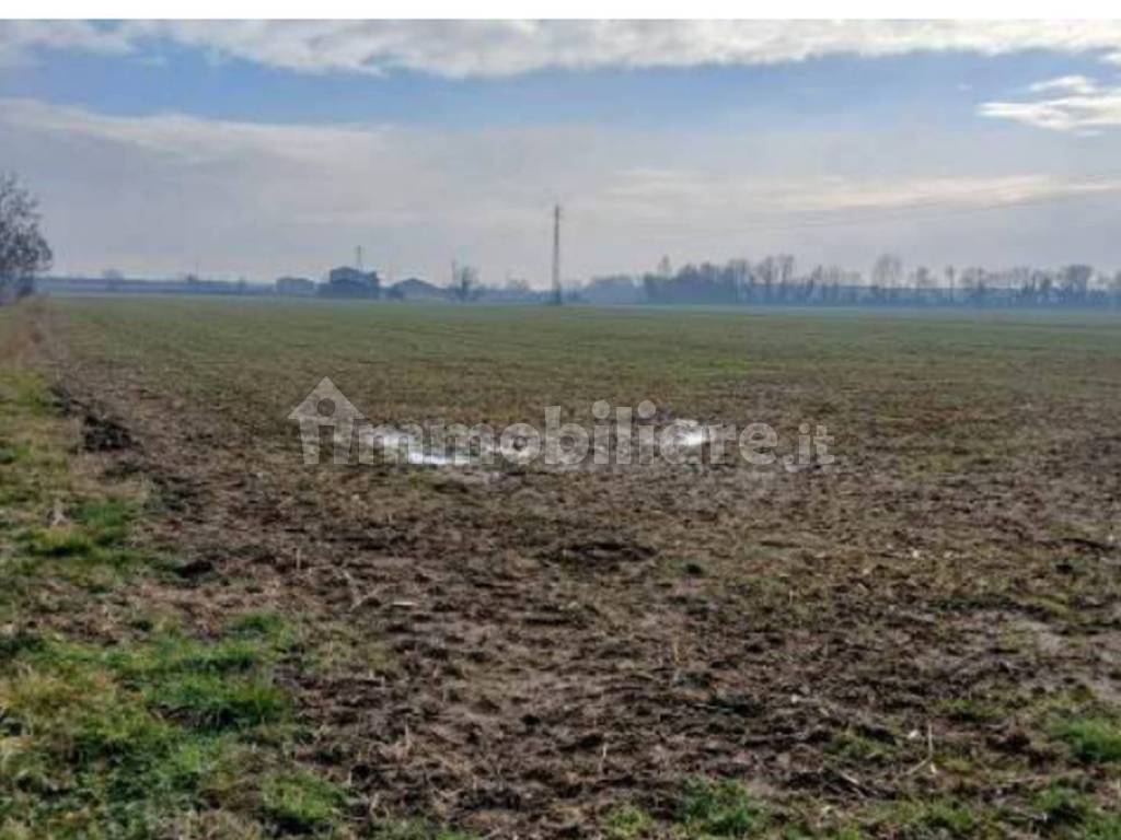 Asta per terreno agricolo, via dei Ronchi, I Casotti Dei Ronchi ...