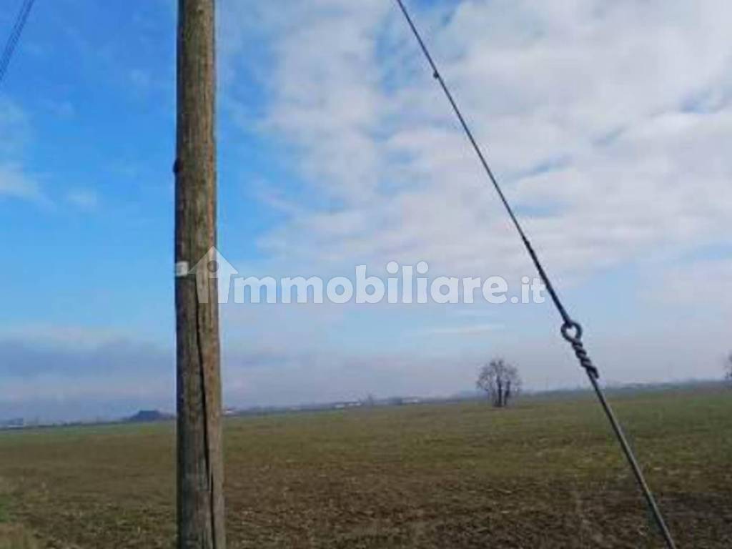 Asta per terreno agricolo, via dei Ronchi, I Casotti Dei Ronchi ...