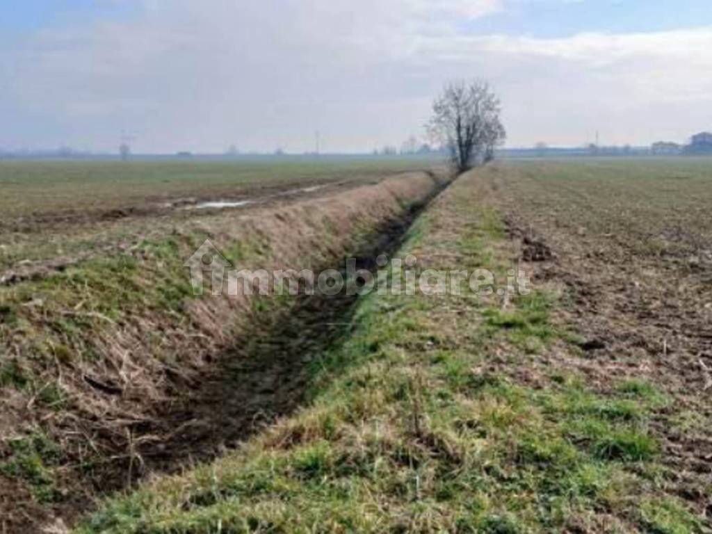 Asta per terreno agricolo, via dei Ronchi, I Casotti Dei Ronchi ...