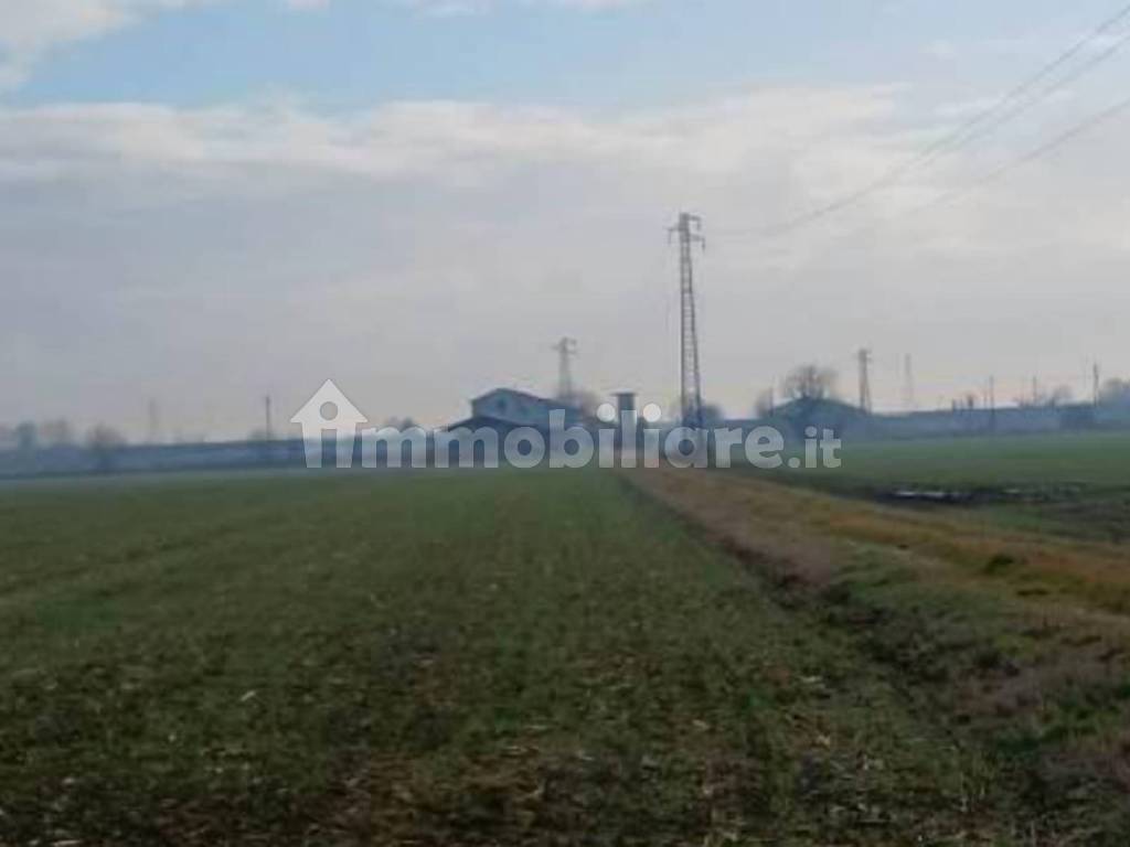 Asta per terreno agricolo, via dei Ronchi, I Casotti Dei Ronchi ...