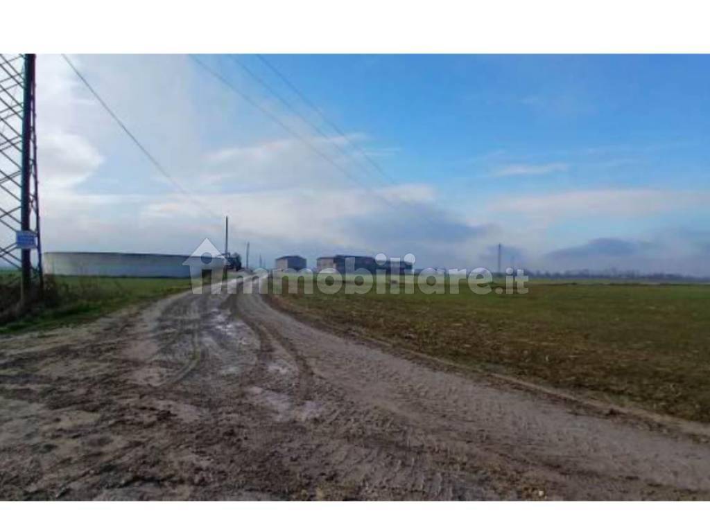 Asta per terreno agricolo, Località Ronchi, I Casotti Dei Ronchi ...