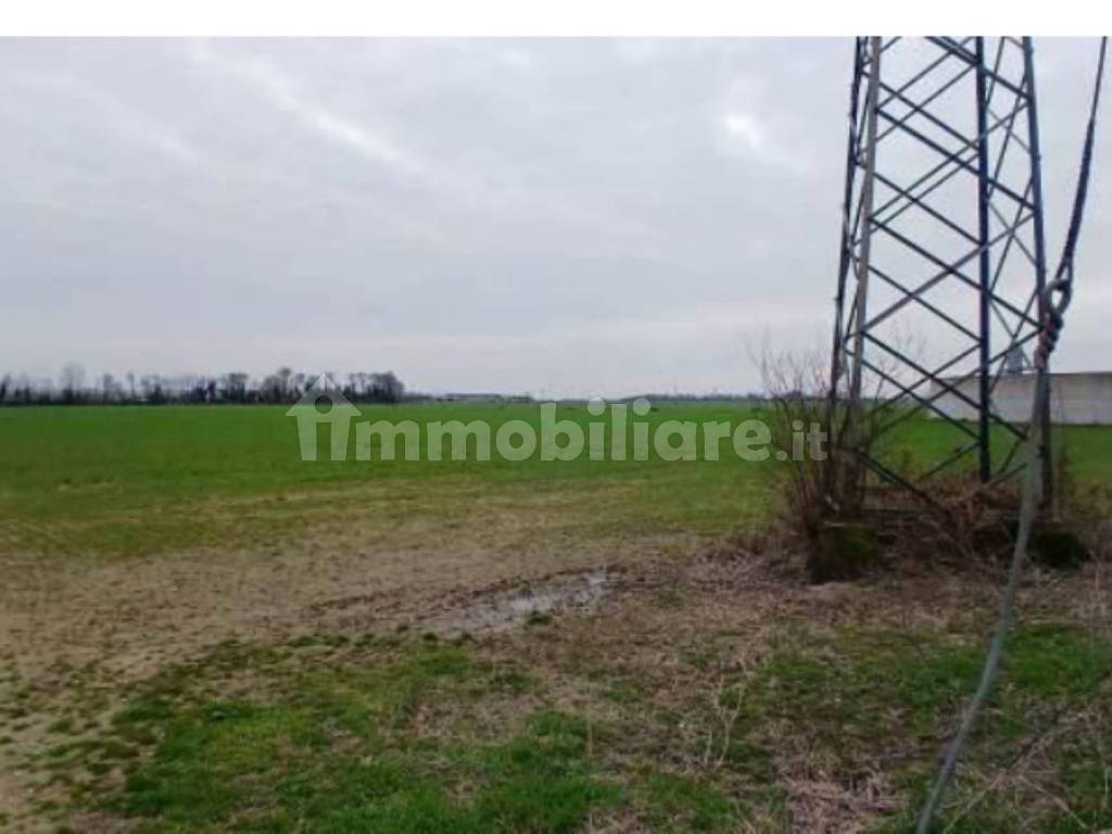 Asta per terreno agricolo, Località Ronchi, I Casotti Dei Ronchi ...