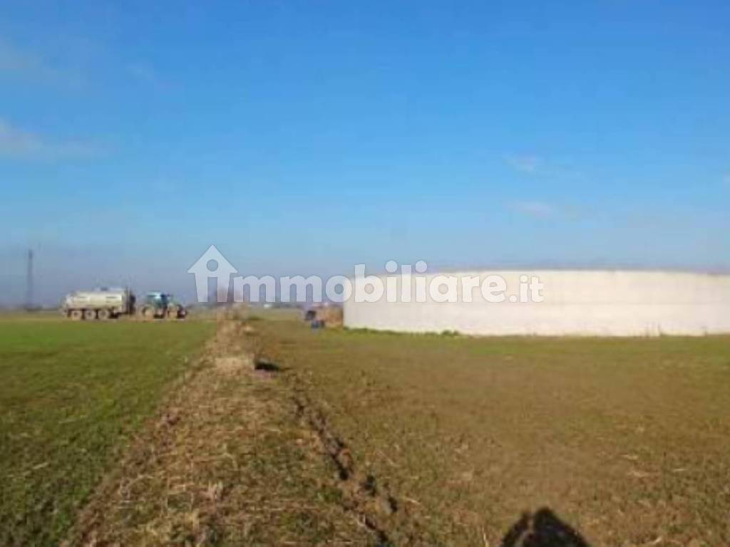 Asta per terreno agricolo, Località Ronchi, I Casotti Dei Ronchi ...