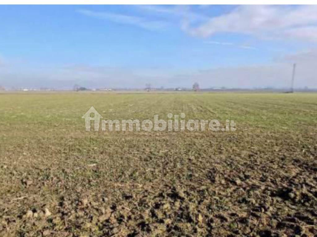 Asta per terreno agricolo, Località Ronchi, I Casotti Dei Ronchi ...
