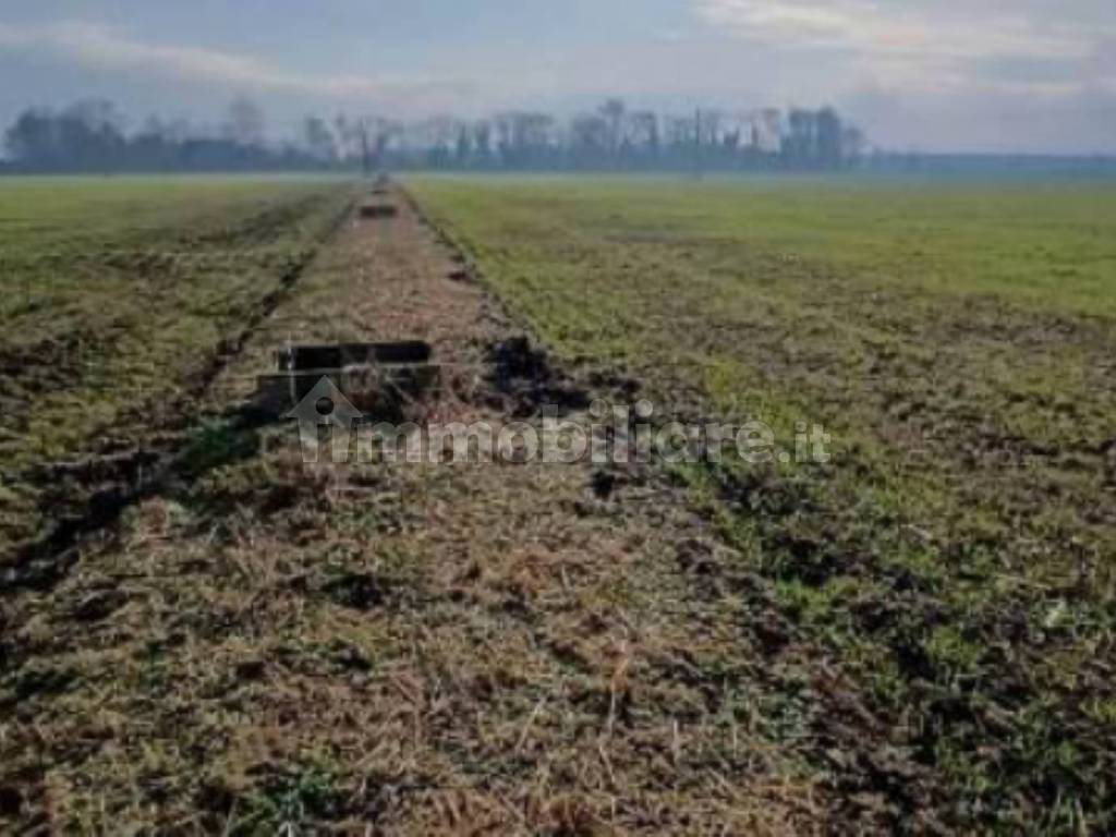 Asta per terreno agricolo, Località Ronchi, I Casotti Dei Ronchi ...