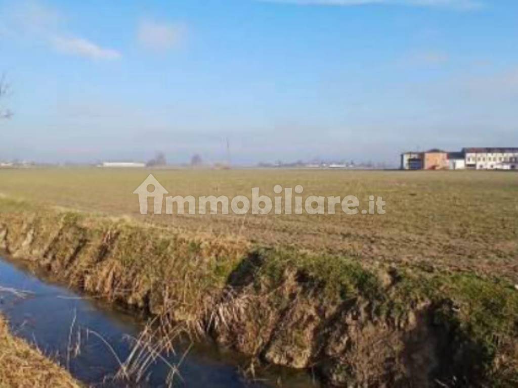 Asta per terreno agricolo, via dei Ronchi, I Casotti Dei Ronchi ...