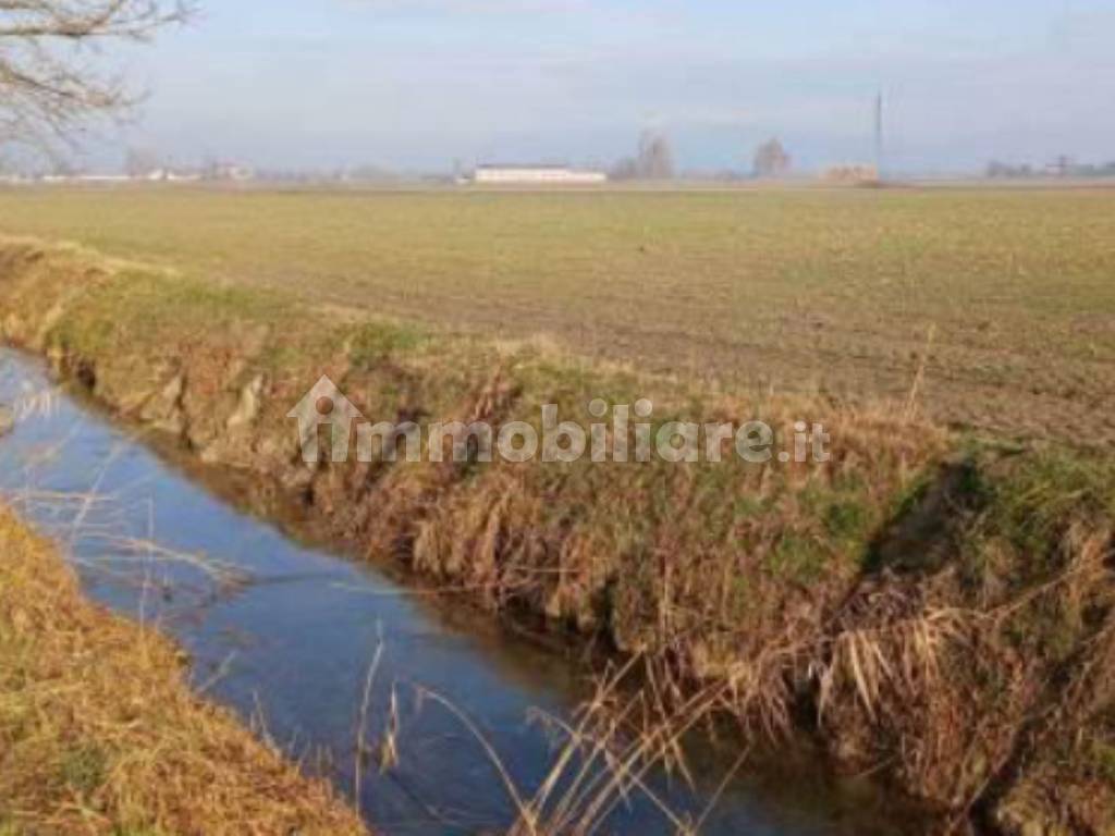 Asta per terreno agricolo, via dei Ronchi, I Casotti Dei Ronchi ...