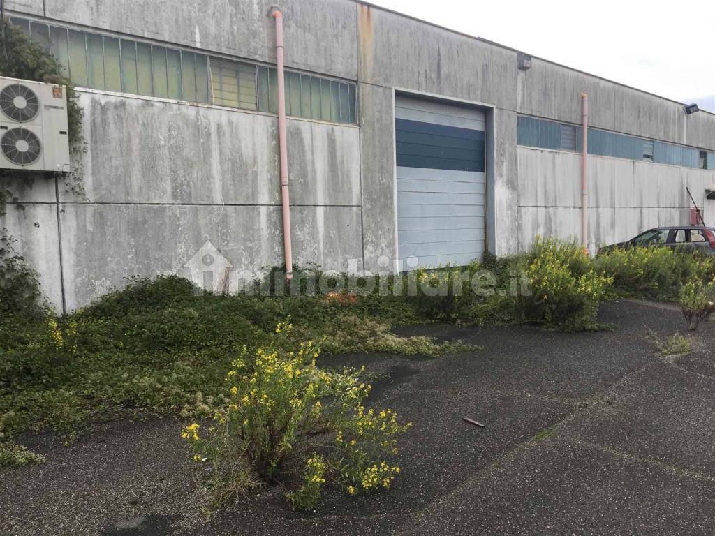 Capannone, Santo Stefano di Magra, Rif. 124772611 - Immobiliare.it