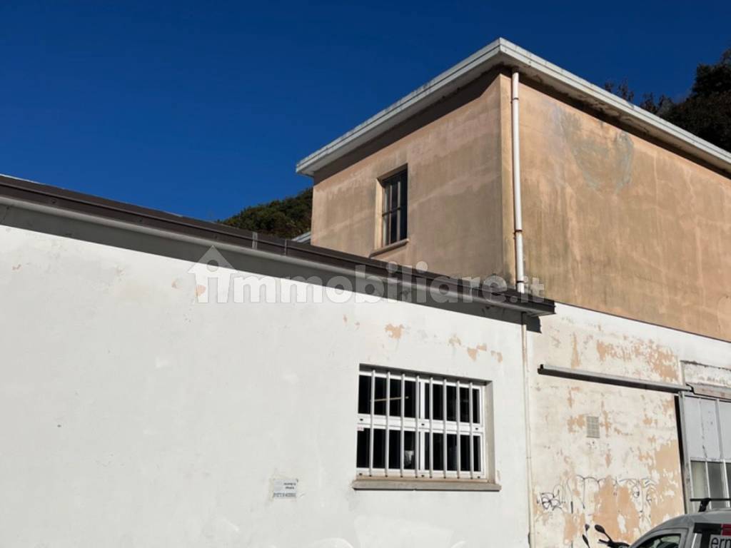 Capannone via Alfonso Valerio 148, Trieste, Rif. 124922259 - Immobiliare.it