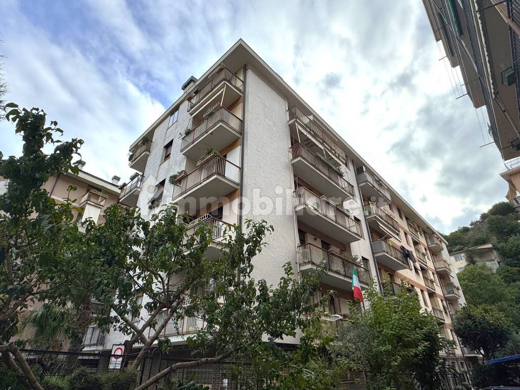 Rent Apartment Genoa. 2-room flat in via del Commercio 8. Good ...