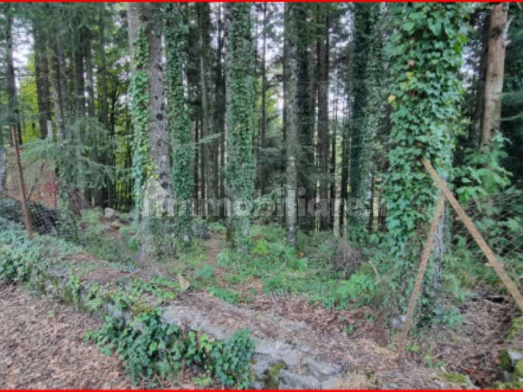 Asta per terreno agricolo, via Poggio al Frate Pelago, rif. 124984807 ...