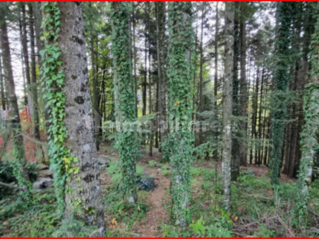 Asta per terreno agricolo, via Poggio al Frate Pelago, rif. 124984807 ...