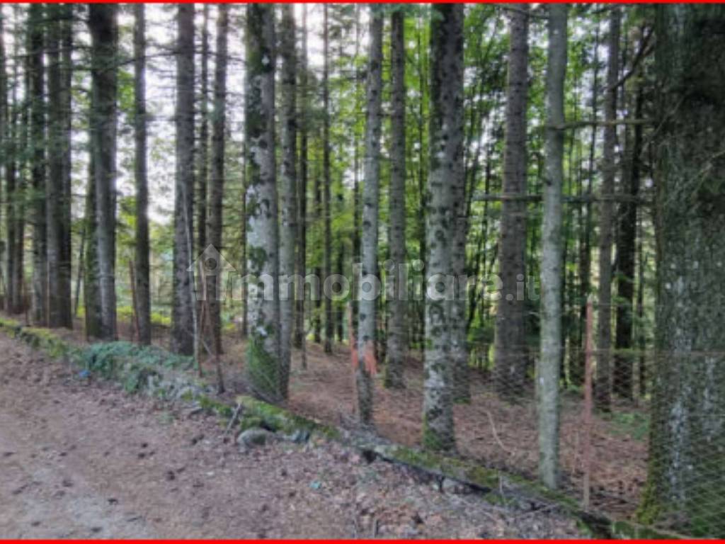 Asta per terreno agricolo, via Poggio al Frate Pelago, rif. 124984807 ...