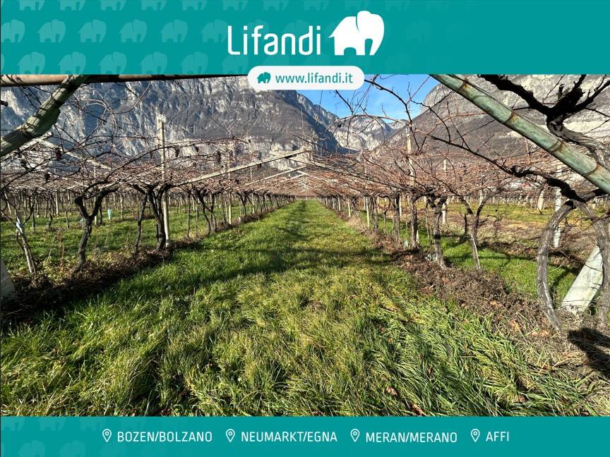 Terreno agricolo, Roverè della Luna, rif. 125336703 - Immobiliare.it