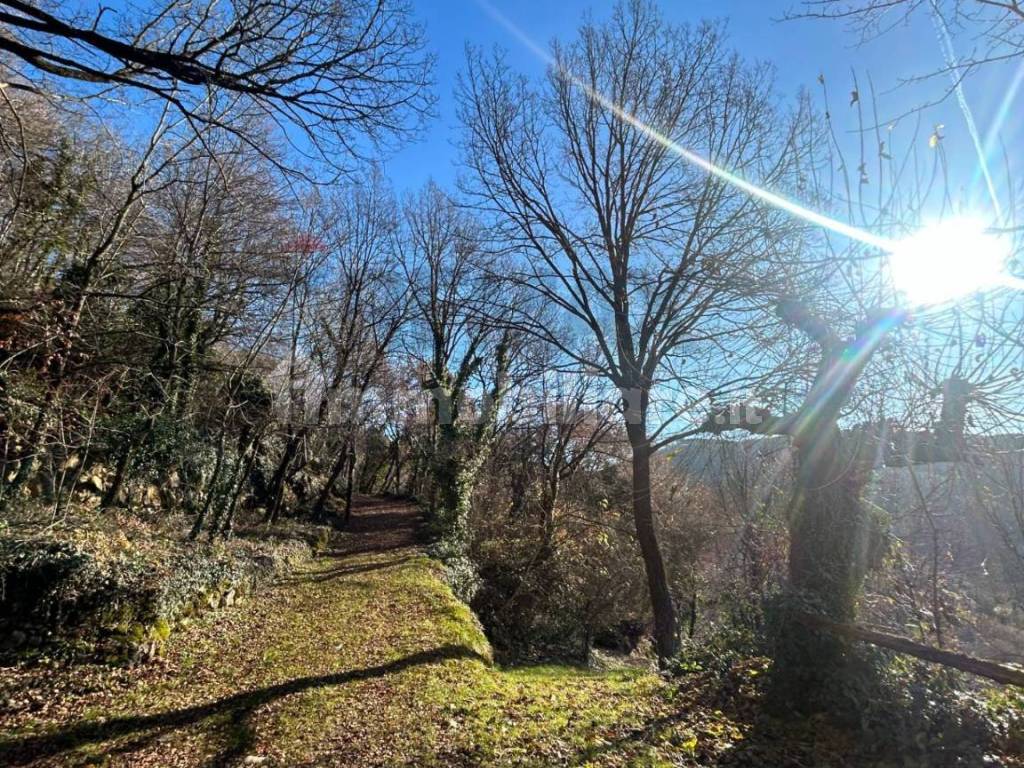 Vendita Rustico Badia Calavena. 233 m², rif. 125460439