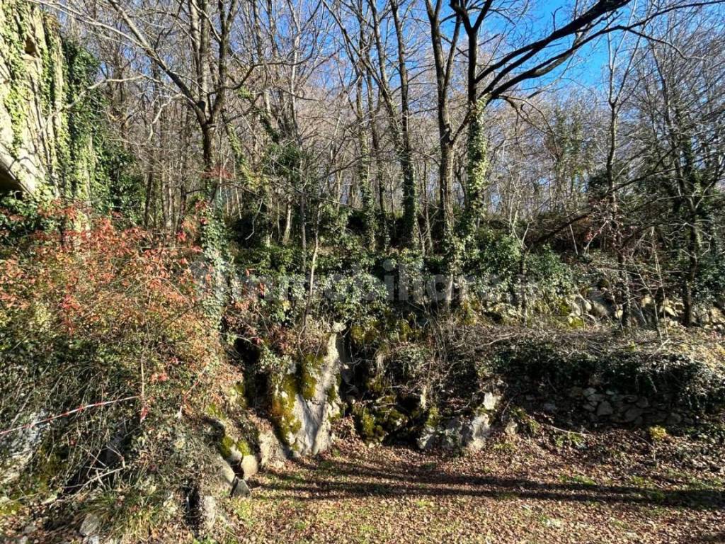 Vendita Rustico Badia Calavena. 233 m², rif. 125460439