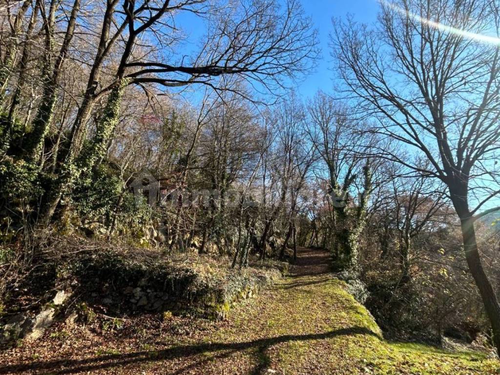 Vendita Rustico Badia Calavena. 233 m², rif. 125460439