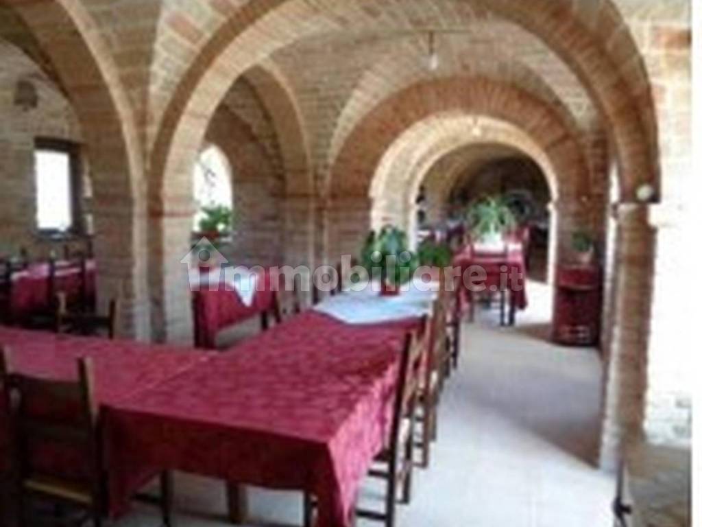 Asta per azienda agricola, via Guido Rossa 267, Bivio Cascinare Sant ...