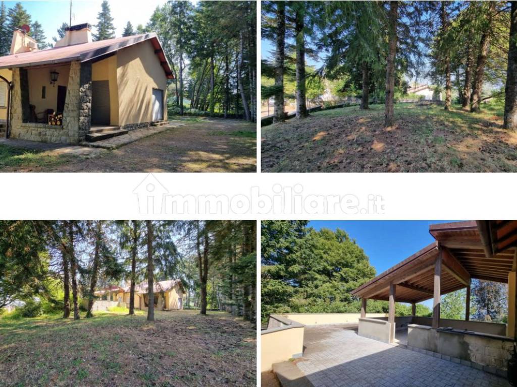 Asta per villa, via Poggio al Frate, Consuma Pelago, rif. 125565135 ...