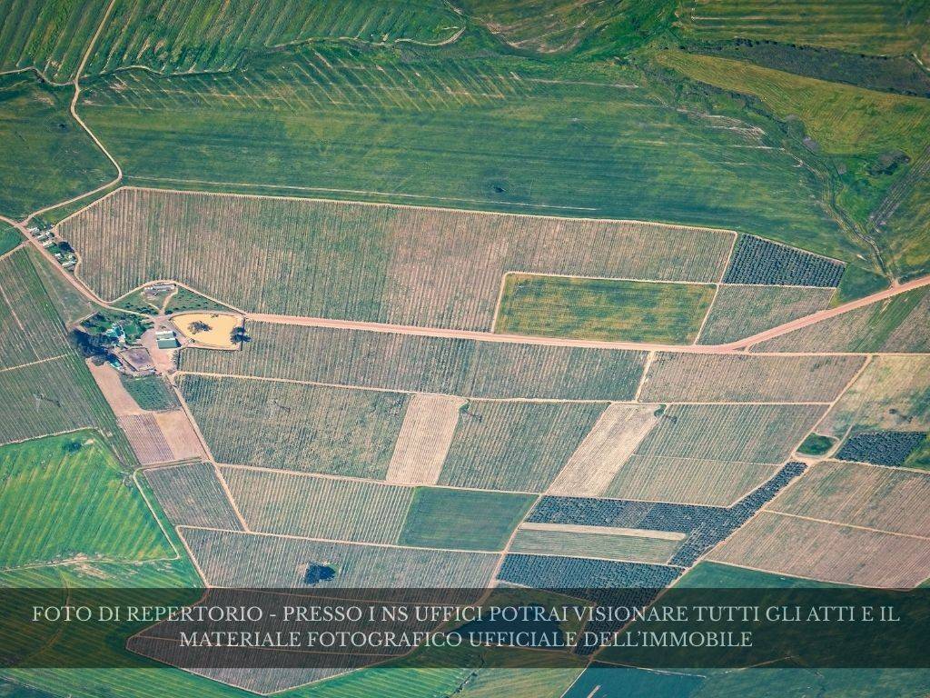 Asta per terreno agricolo, via Pantanello, 04022 Fondi Italia Fondi ...