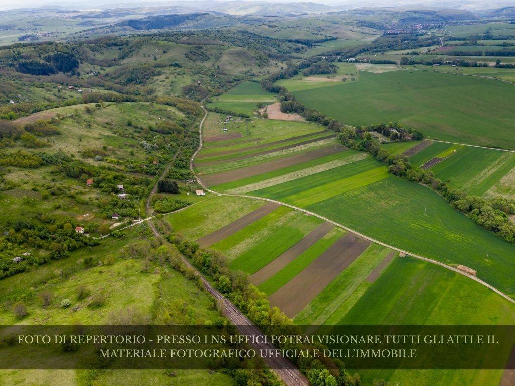 Asta per terreno agricolo, via Pantanello, 04022 Fondi Italia Fondi ...