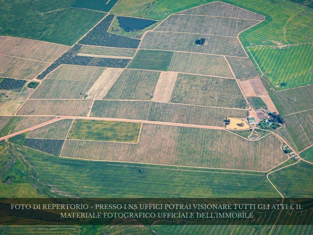 Asta per terreno agricolo, via Pantanello, 04022 Fondi Italia Fondi ...