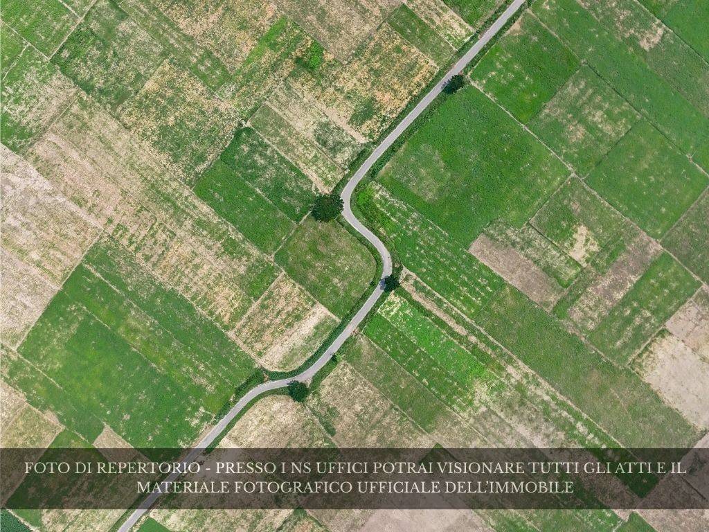 Asta per terreno agricolo, via Pantanello, 04022 Fondi Italia Fondi ...