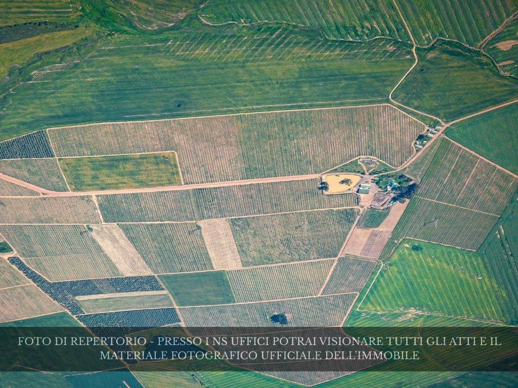 Asta per terreno agricolo, via Pantanello, 04022 Fondi Italia Fondi ...